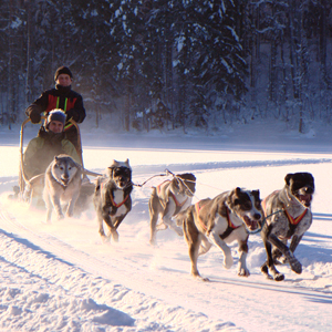 Short break adventure maps & highlights