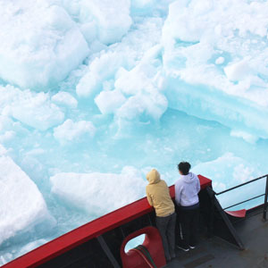 Best time to visit the Arctic