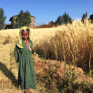 Where to go walking in Ethiopia