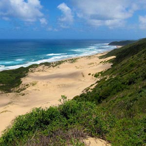 KwaZulu-Natal travel guide