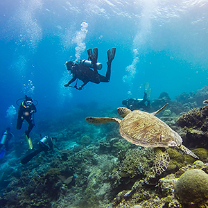 Kalimantan travel guide