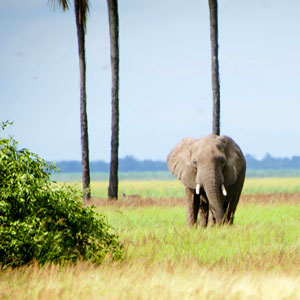 Best time to visit Malawi