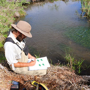 Wildlife conservation activities