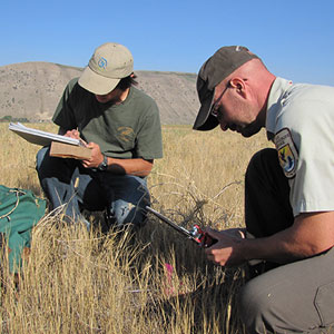 Wildlife conservation activities