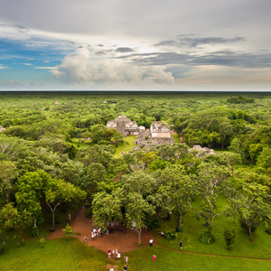 Where to see wildlife in the Yucatan