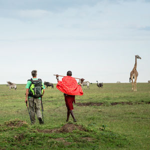 Tracking wildlife on foot travel guide