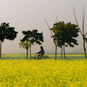 Best time to visit India