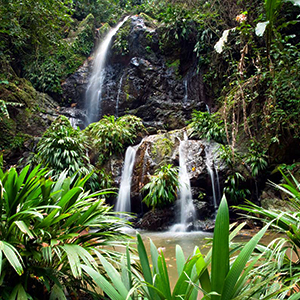 Best time to visit Tobago