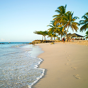 Where to go in Tobago