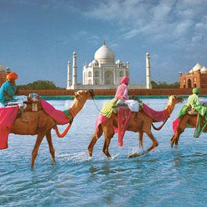 Best time to visit India