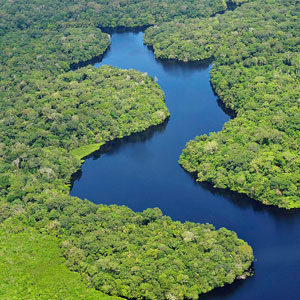 Can tourism help save the Amazon Rainforest?
