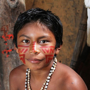 Amazon Rainforest travel guide