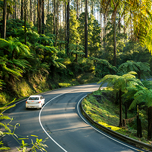 Best time to visit the Great Ocean Road