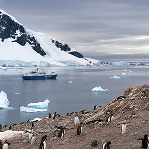 Things to do in the Polar regions