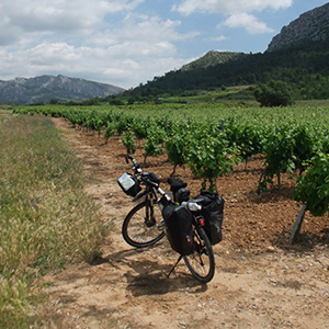 Best places to go cycling in France