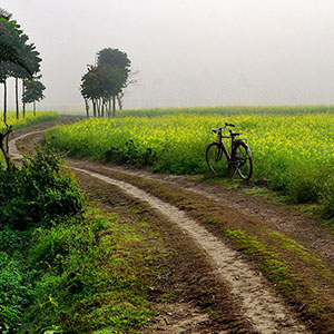 Best time to go cycling in India