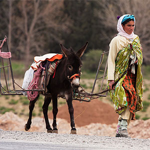 Cultural Morocco travel guide