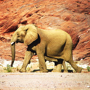 Best time to visit Namibia