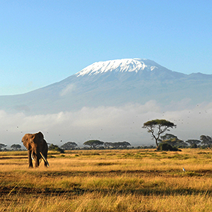 Best time to visit Tanzania