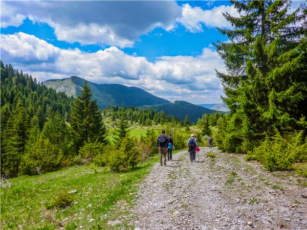 Rodopi Mountains walking holiday in Bulgaria | Responsible Travel