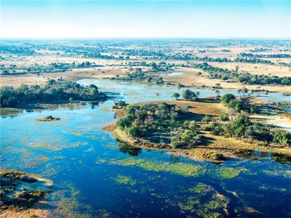 Botswana wildlife safari. Helping Dreamers Do