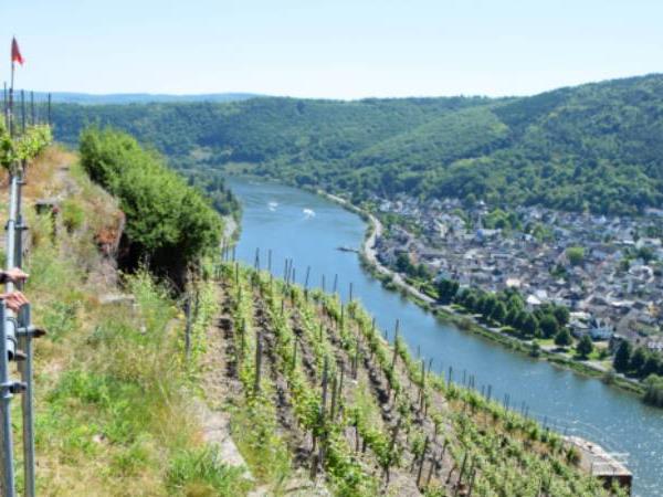 Germany walking holiday, Rhine River & Castles Walk | Responsible Travel