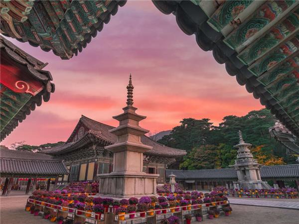 Discover South Korea small group holiday | Responsible Travel