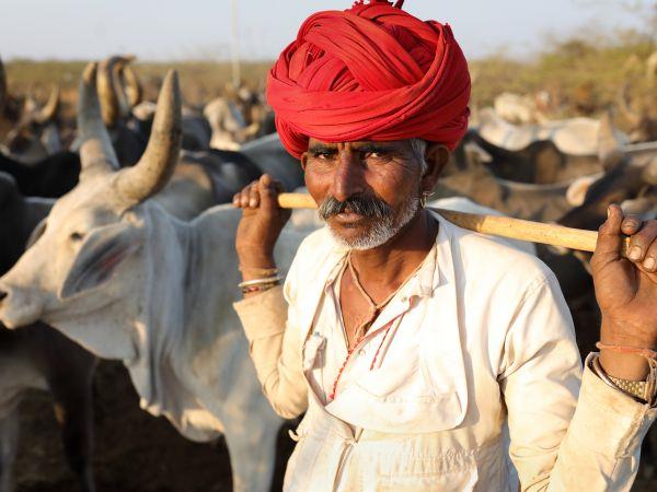 India tour, rural India | Responsible Travel