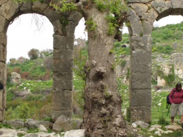 Gulet cruise and walking holiday in Turkey | Responsible Travel