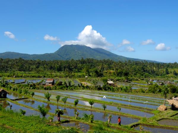 Java group tour | Responsible Travel