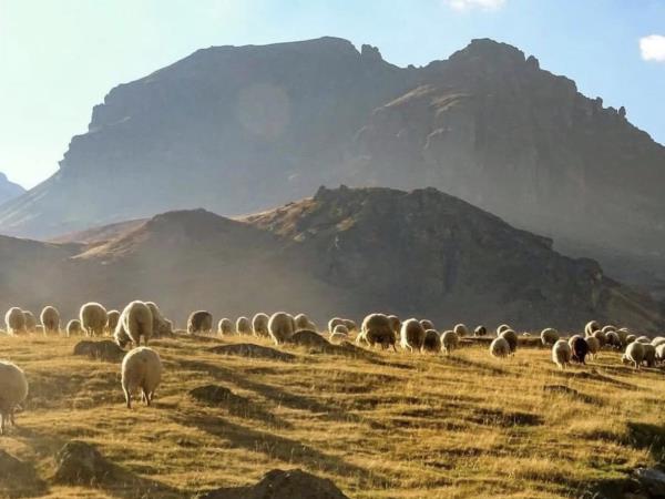 Accursed Mountains walking holiday, Albania | Responsible Travel