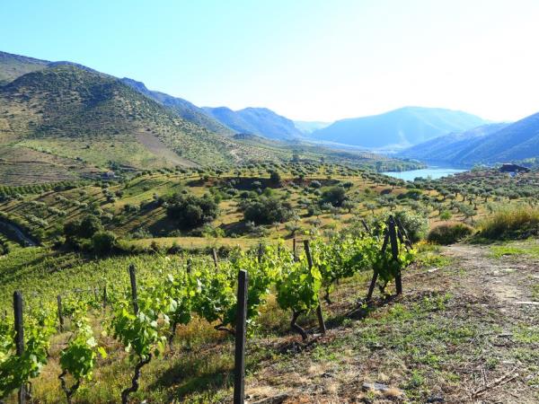 Self guided walking holiday in the Douro valley | Responsible Travel