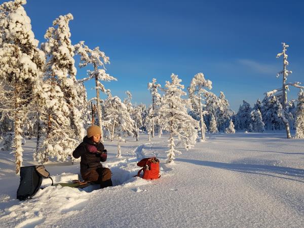 New Year in Sweden holiday | Responsible Travel