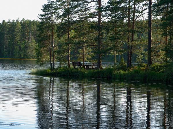 Helsinki and Lakeland nature tour | Responsible Travel