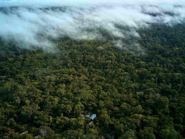 Bogota, Amazon, and Medellin tailor made tour | Responsible Travel