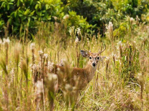 Colombia off the beaten track holiday | Responsible Travel