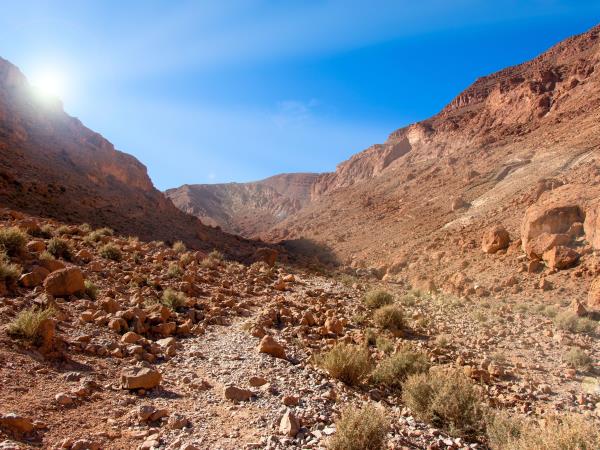 High Atlas Mountains & Sahara desert trek, Morocco | Responsible Travel