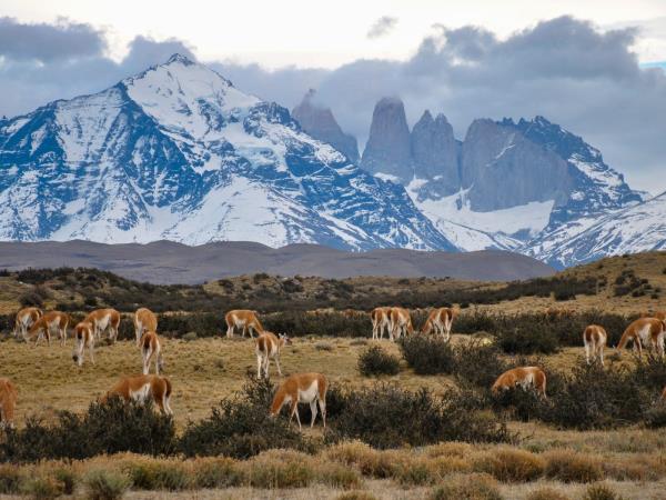 Chile family holiday, tailor made | Responsible Travel