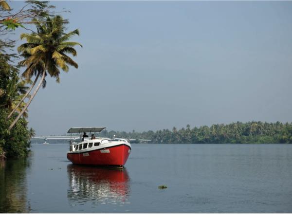 Cochin tour, meet the locals, Kerala | Responsible Travel