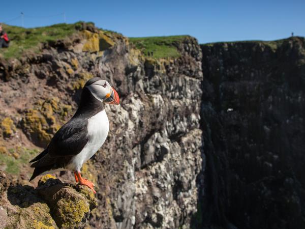 Iceland cruises, land of fire & ice | Responsible Travel