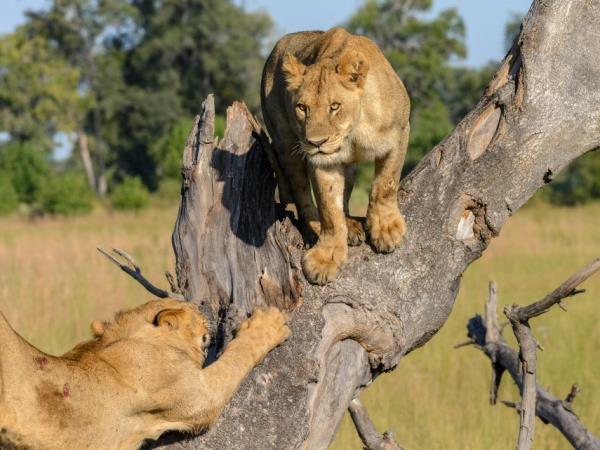 Zimbabwe canoe safari | Responsible Travel
