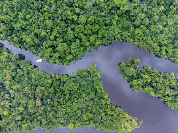 Amazon river expedition | Responsible Travel