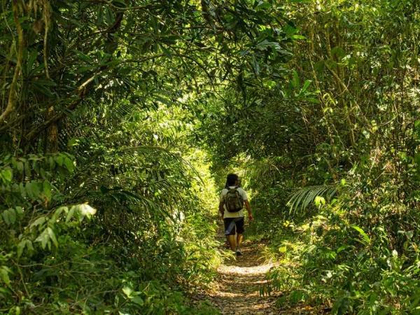 Amazon river expedition | Responsible Travel