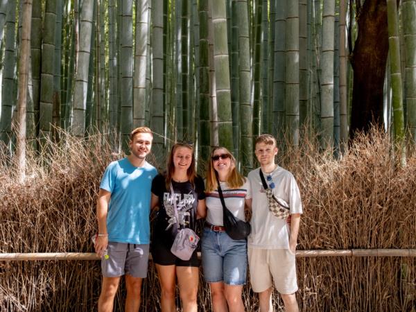 Japan small group tours | Responsible Travel