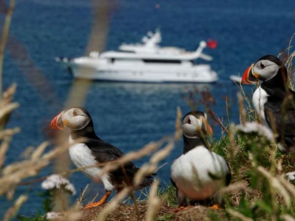Luxury mini cruise in Scotland | Responsible Travel