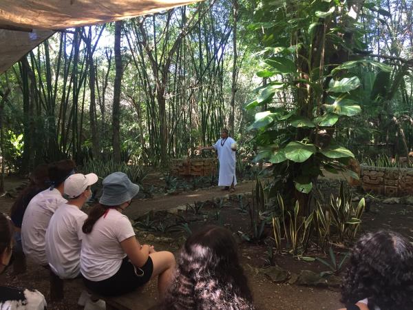 Yucatan holiday in Mexico, culture, nature, beach | Responsible Travel