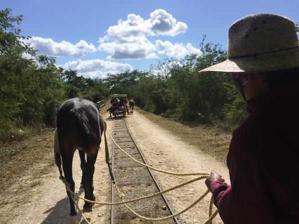 Yucatan holiday in Mexico, culture, nature, beach | Responsible Travel