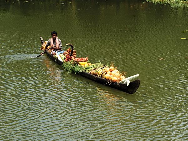 Kerala highlights 14 day tour | Responsible Travel