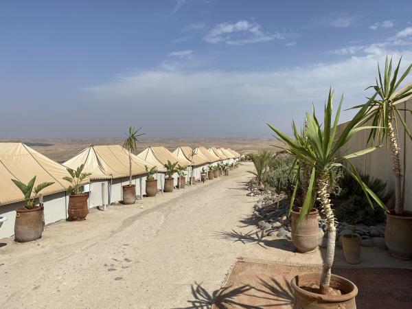 Agafay desert and coast adventure, Morocco | Responsible Travel