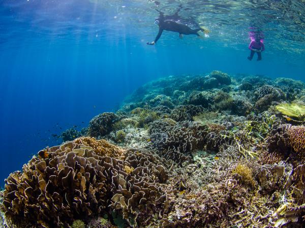Southern Raja Ampat snorkelling holiday, Indonesia | Responsible Travel